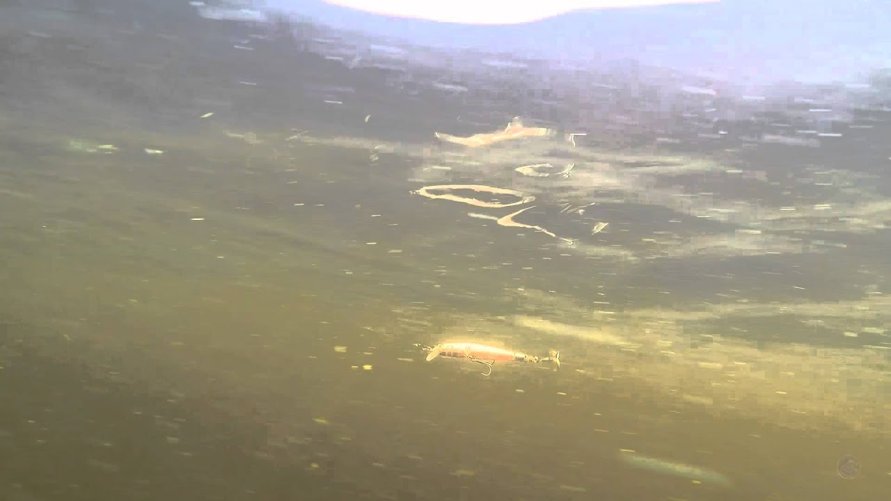 Jackson Dead Float 10.5 - YouTube