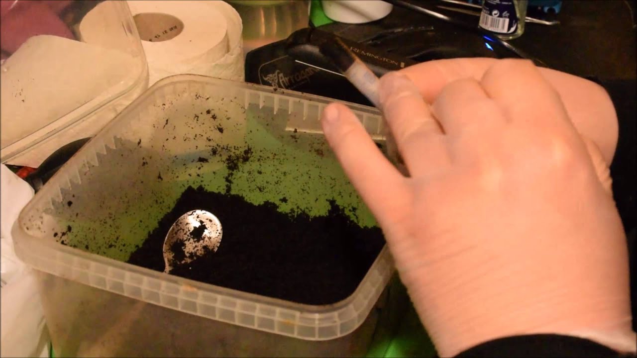 How to make your own portion snus - YouTube