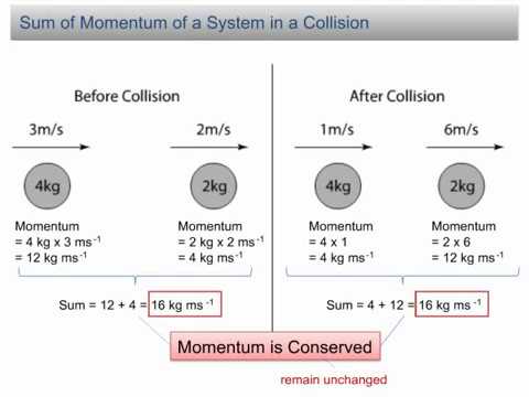 Principle of Conservation of Momentum | Force and Motion - YouTube