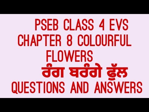 class 4 EVS chapter 8 Colourful Flowers|| ਰੰਗ ਬਰੰਗੇ ਫੁੱਲ|| worksheet ...