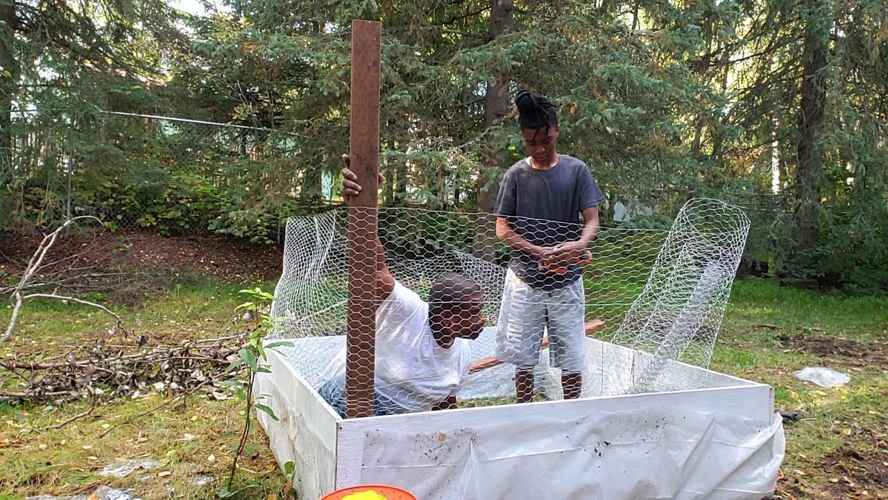 DIY this Alaska Chicken Run🐔 - YouTube