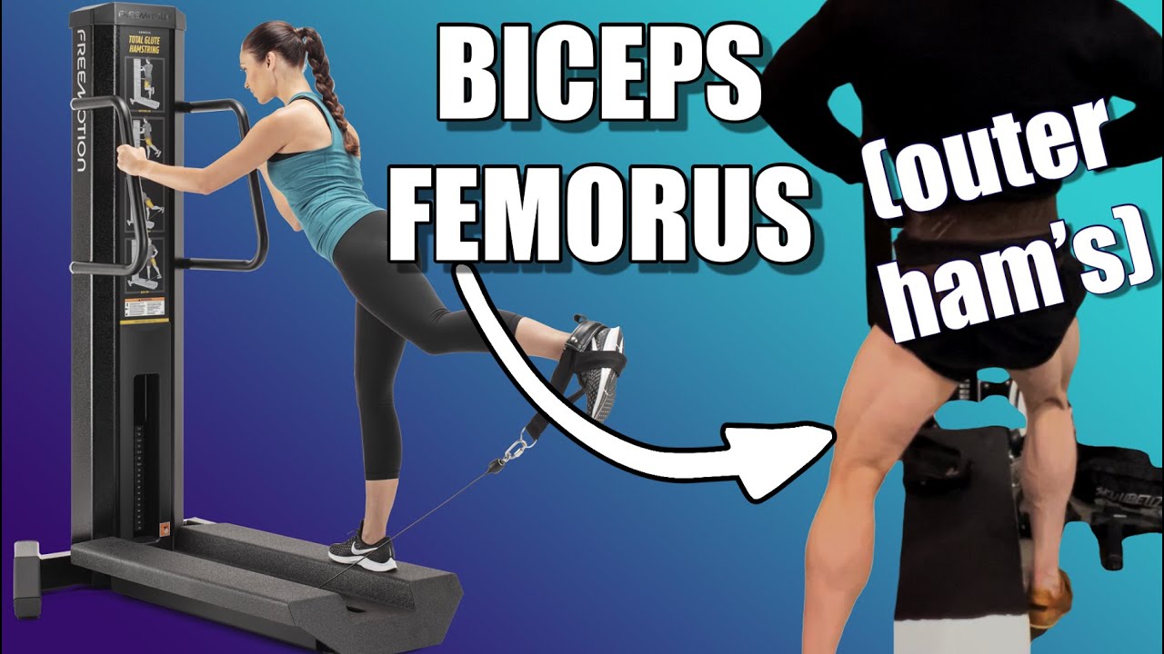 Freemotion® Hamstring Curls | Biceps Femorus (Outer Head) - YouTube