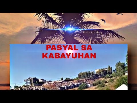 PASYAL SA KABAYUHAN NG FAQRA JULY 13 2020 - YouTube