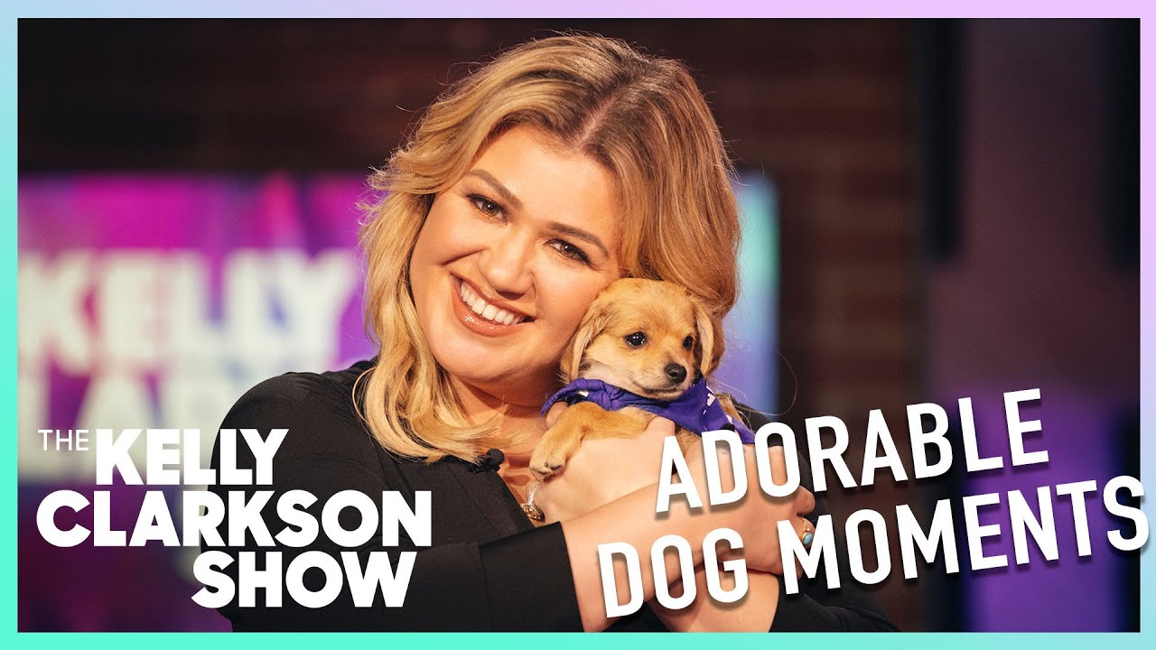 The Most Adorable Dog Moments On The Kelly Clarkson Show | Digital ...