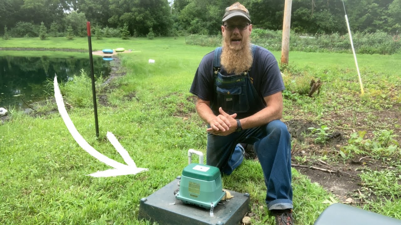 2 Year Review Hiblow HP-100ll Septic Pump - Pond Aerator - YouTube