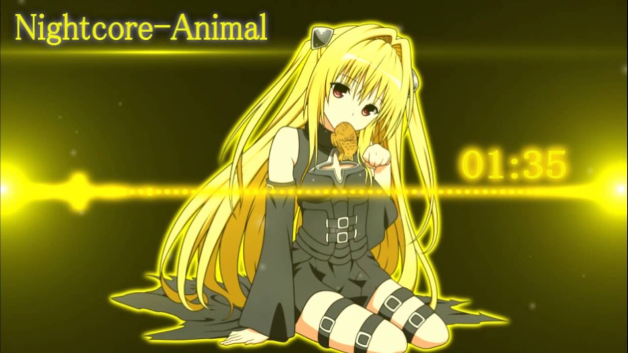 nightcore=animal ♪ - YouTube