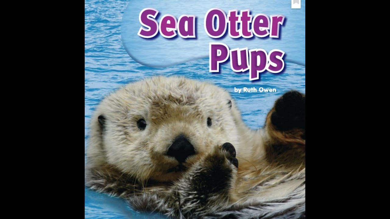 Sea Otter Pups by Ruth Owen - YouTube