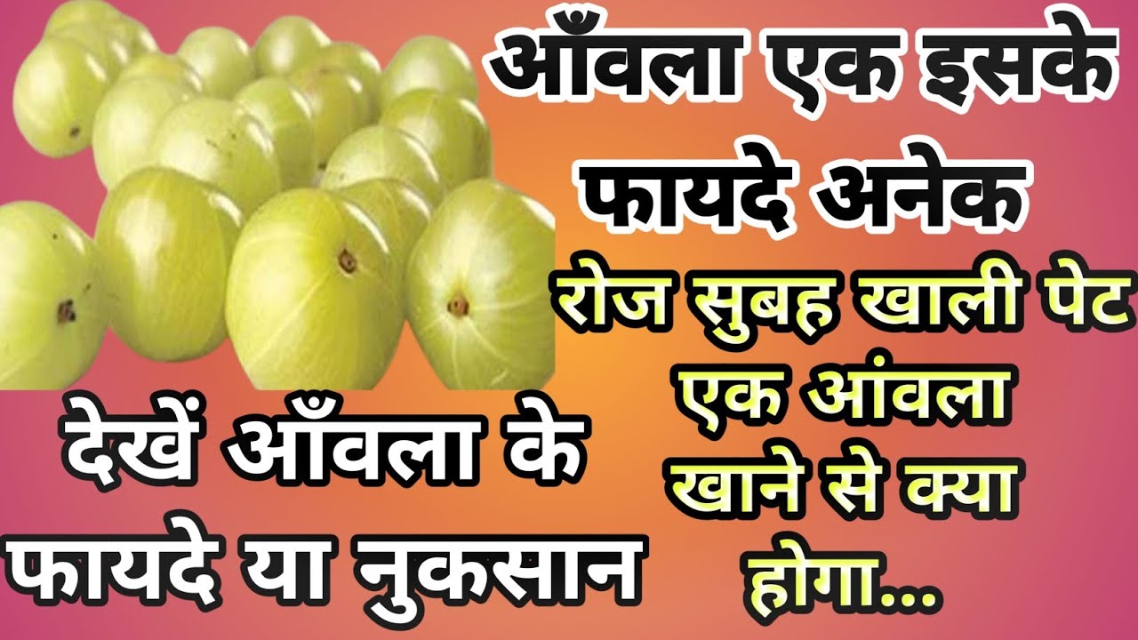 सुबह आंवला खाने से दूर होंगे कई रोग | How To Benefits of Anwla | Anwala ...