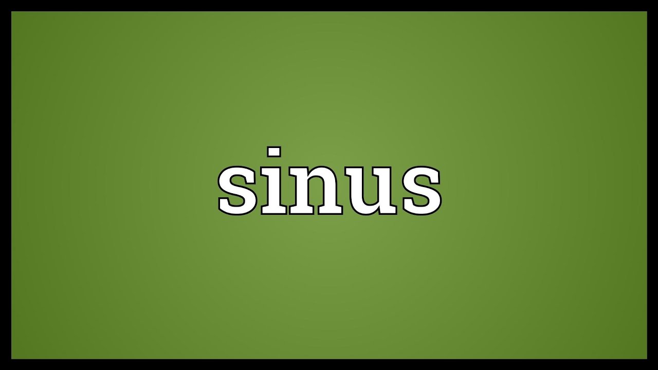 Sinus Meaning YouTube sinus-meaning-youtube