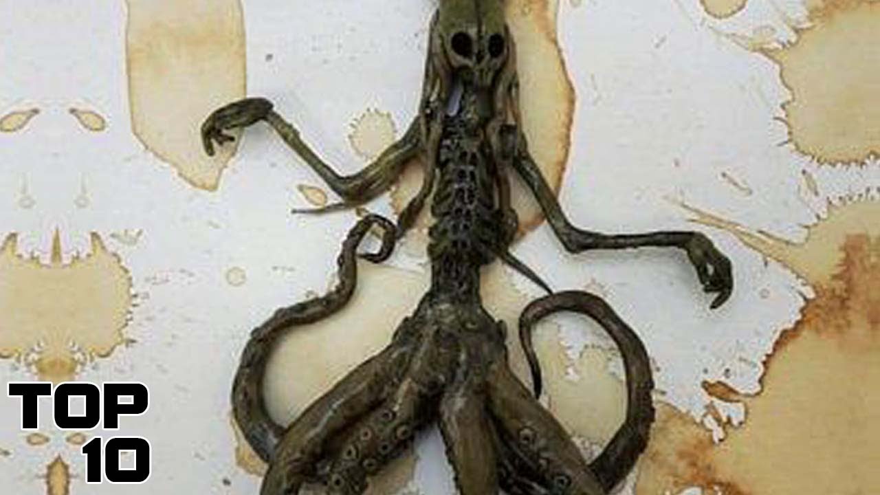 Top 10 Strangest Animals Recovered From Chernobyl - YouTube