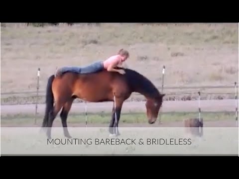 YAY: Mounting bareback, with no help! - Change your Narrative to YES I CAN! - YouTube