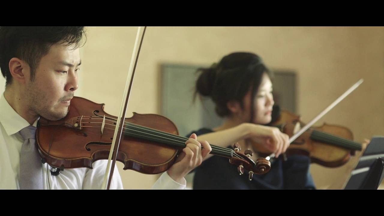 Starlight - Muse (String Quartet cover) played by Cattus Quartet - YouTube