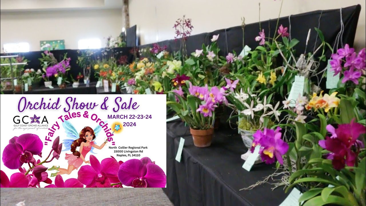 Orchid Show Preview in Naples, Florida - YouTube