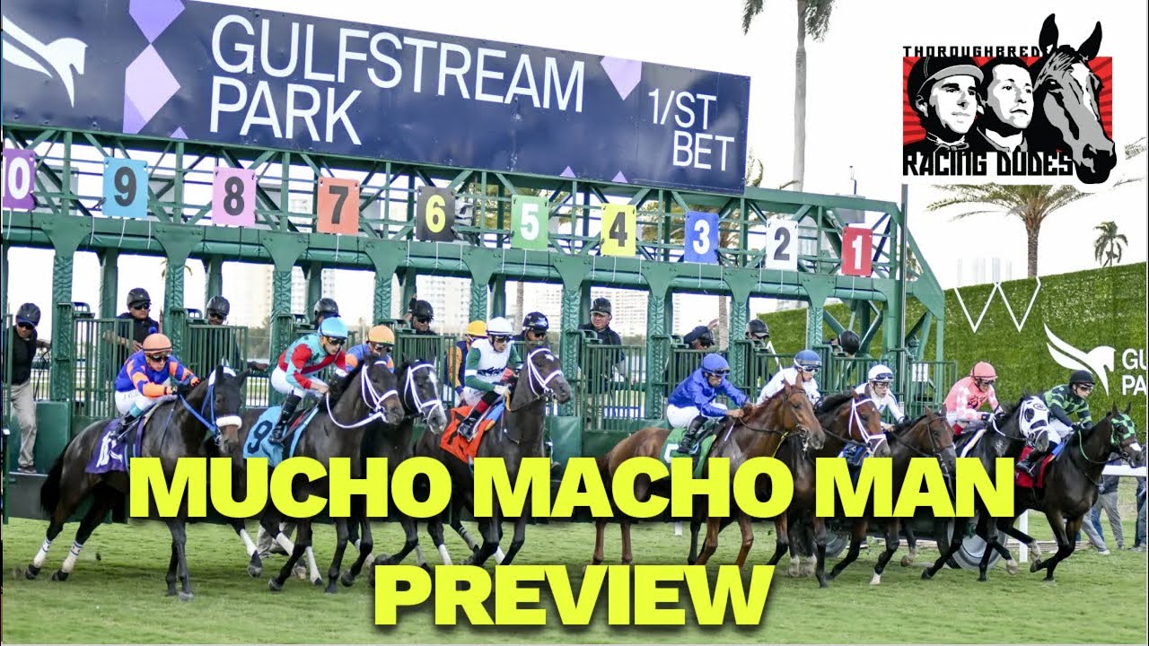 Mucho Macho Man Stakes 2026 Picks and Preview | Kentucky Derby Prep ...