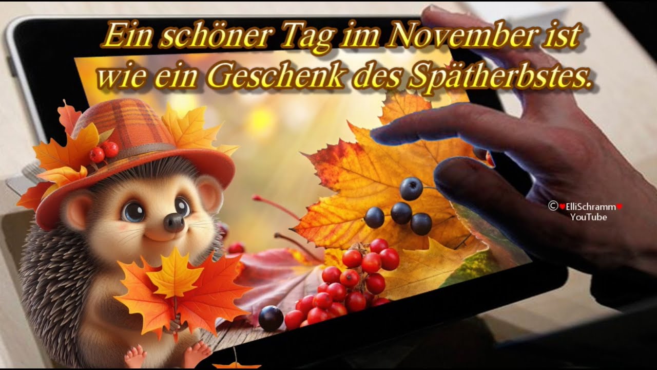 Liebe Grüße für einen schönen Tag im November 💗🍂 genieße die Farben ...