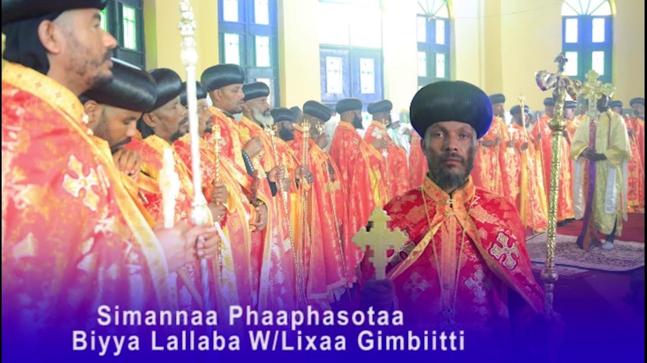 Simannaa Phaaphaasota Haaraa Muudamaniif, Wallagga Lixaa Gimbiitti ...