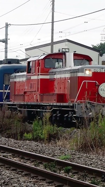 【DLぐんま9fin】本編動画↑ 井野駅付近を走行 DD51 842＋12系客車＋EF64 1053 2024年9月16日 # shorts #鉄道 # railways - YouTube