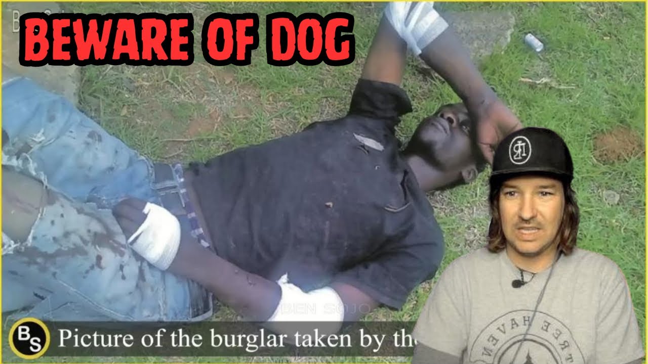 Dogs attack robbers in the act! | Thieves get INSTANT KARMA | Reacts ...