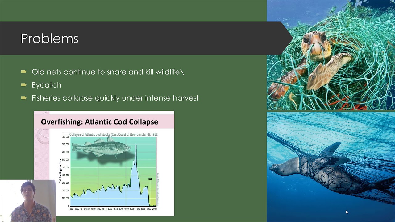 Chapter 12 Overfishing - YouTube