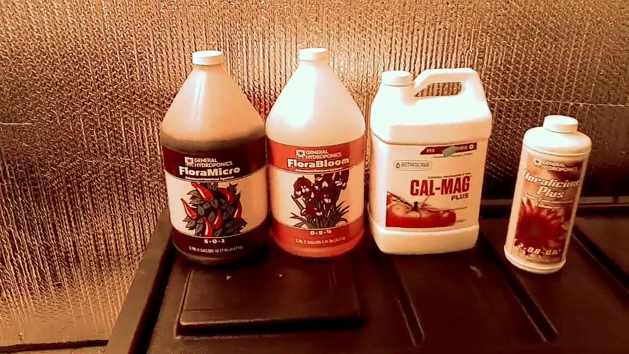 Lucas Method: Week 1 Veg - YouTube