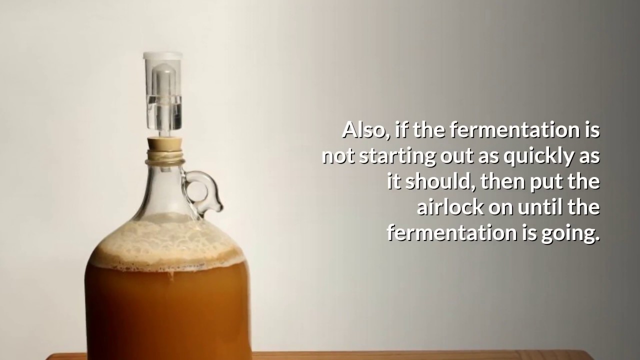 Do You Have To Use An Airlock When Fermenting? » HomeBrewAdvice.com ...