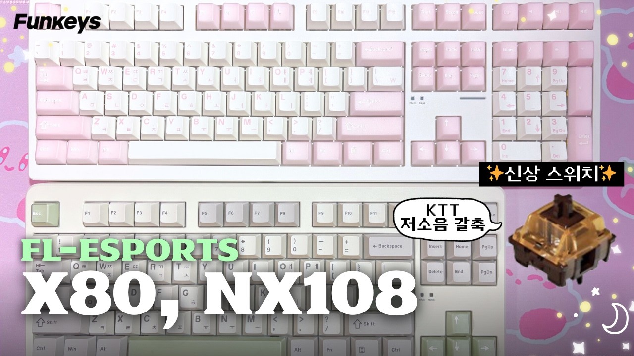 NEW KTT 저소음 갈축 스위치 추가! FL-ESPORTS X80, NX108 | 독거미 키보드와 비교 타건까지 | 사무용 ...