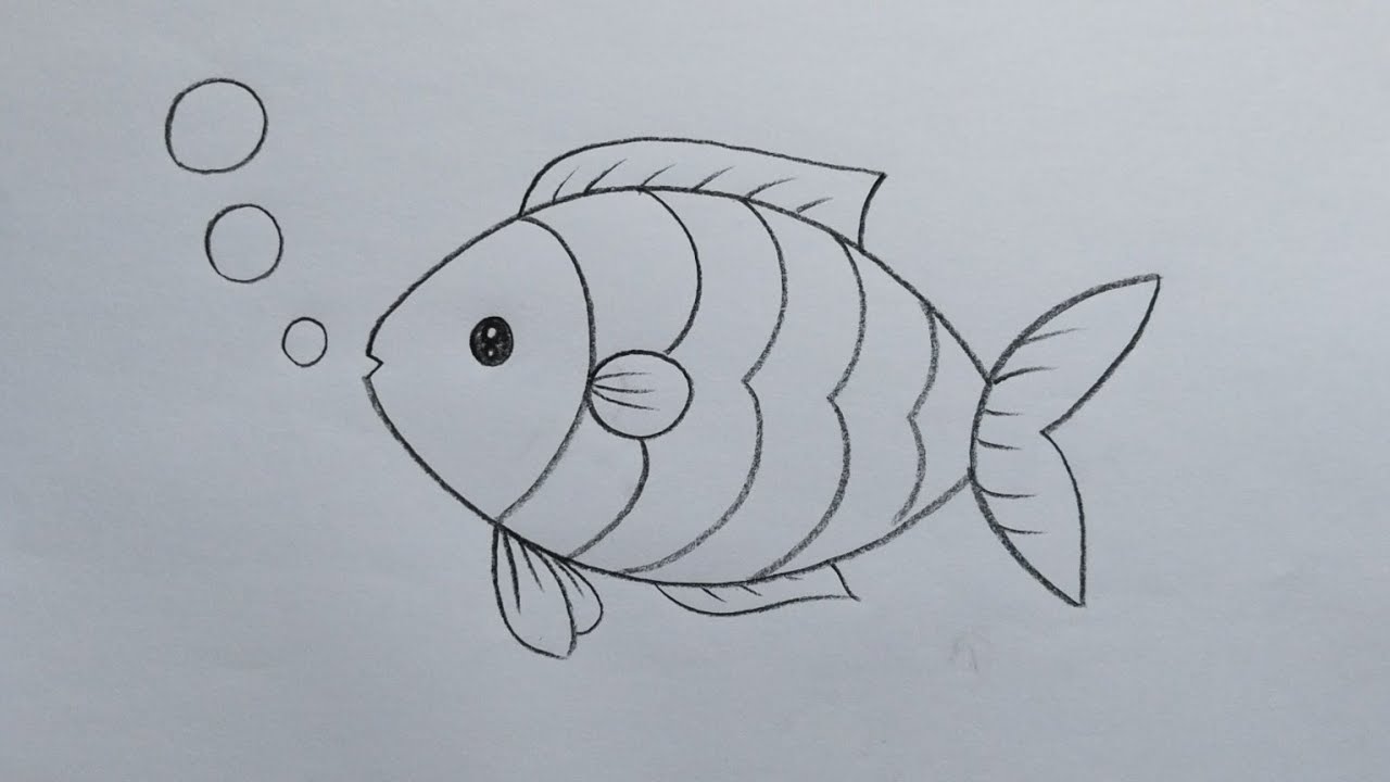 how to draw fish drawing easy step by step@Aarav Drawing Creative - YouTube