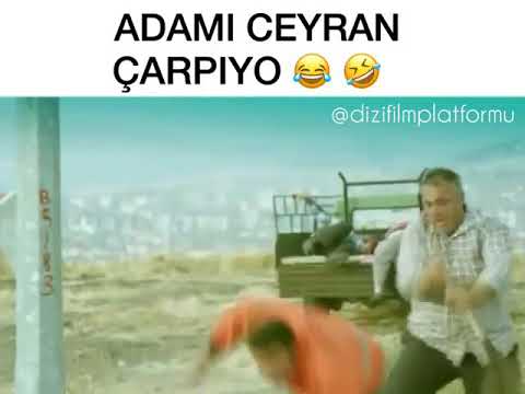 Adamı ceyran çarpıyo