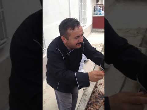 Pala remzi