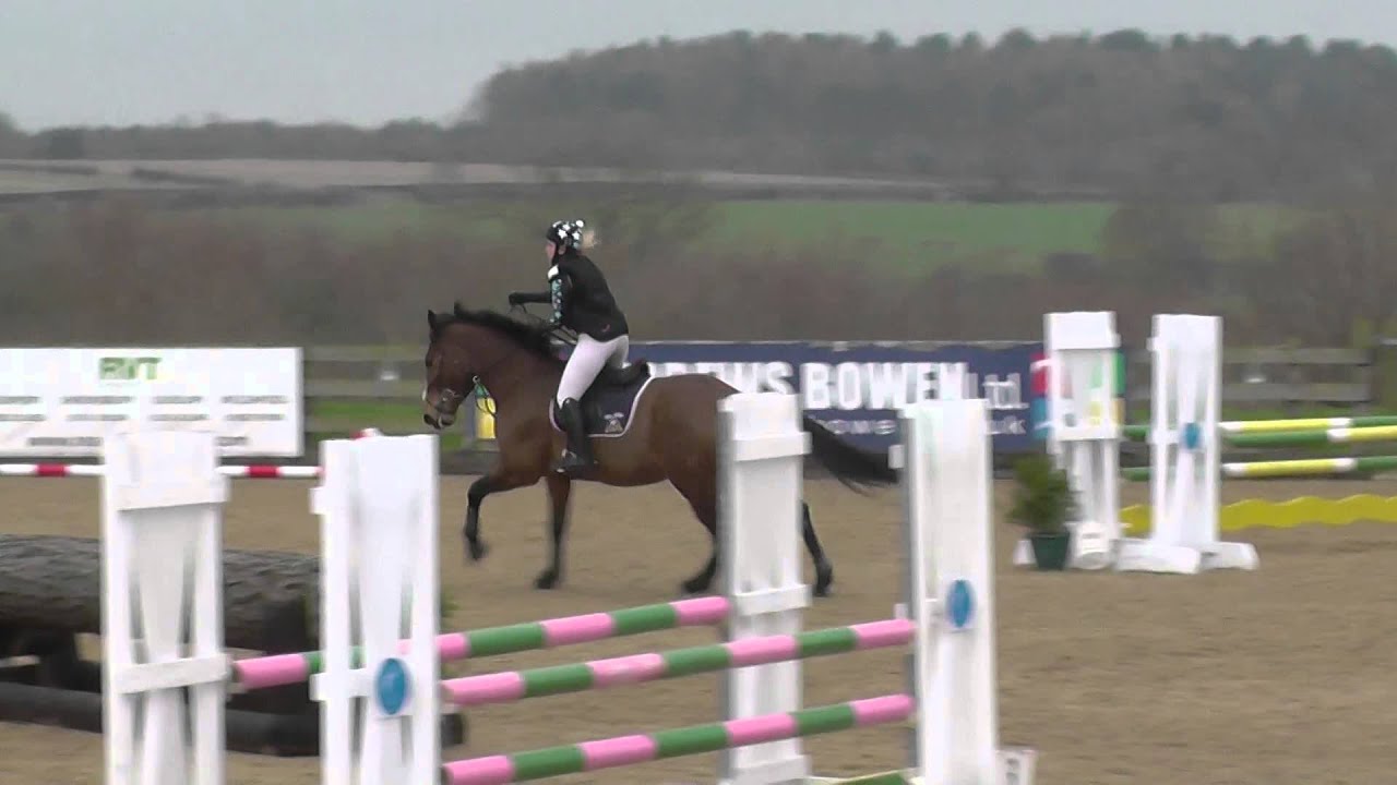 My Harlequin Lady- Eland Lodge Arena Eventing BE100 Qualifier - YouTube