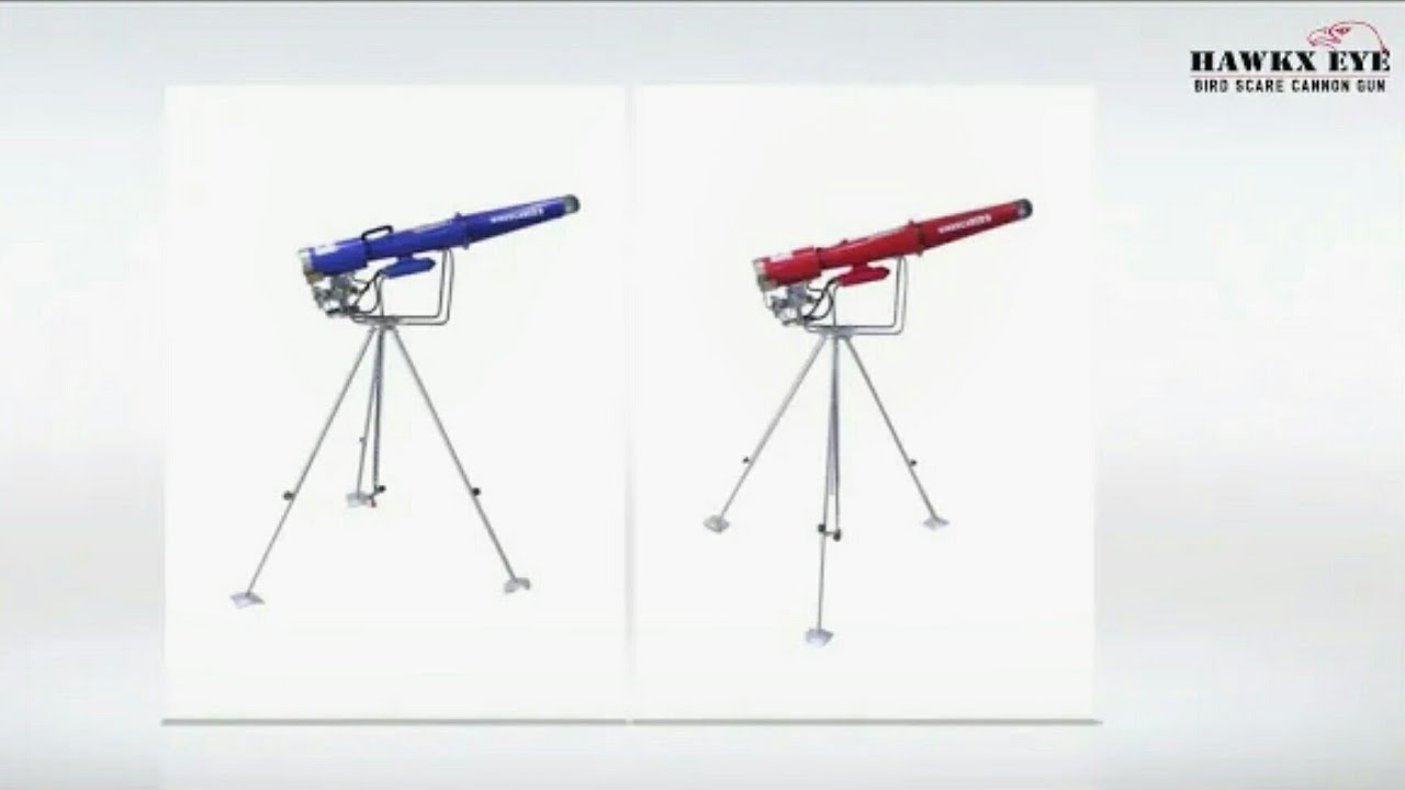 BIRD SCARE CANNON GUN - YouTube