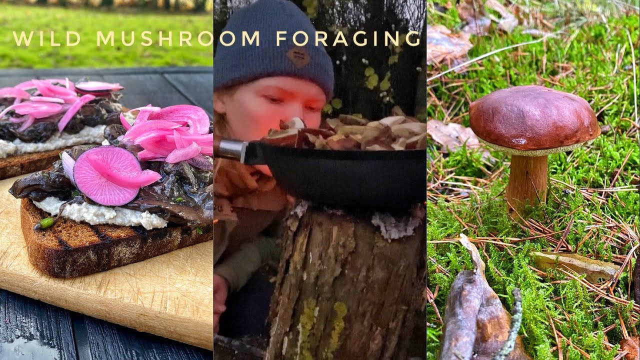 Wild mushrooms | cooking on the fire | pickled onion & radish recipe ...