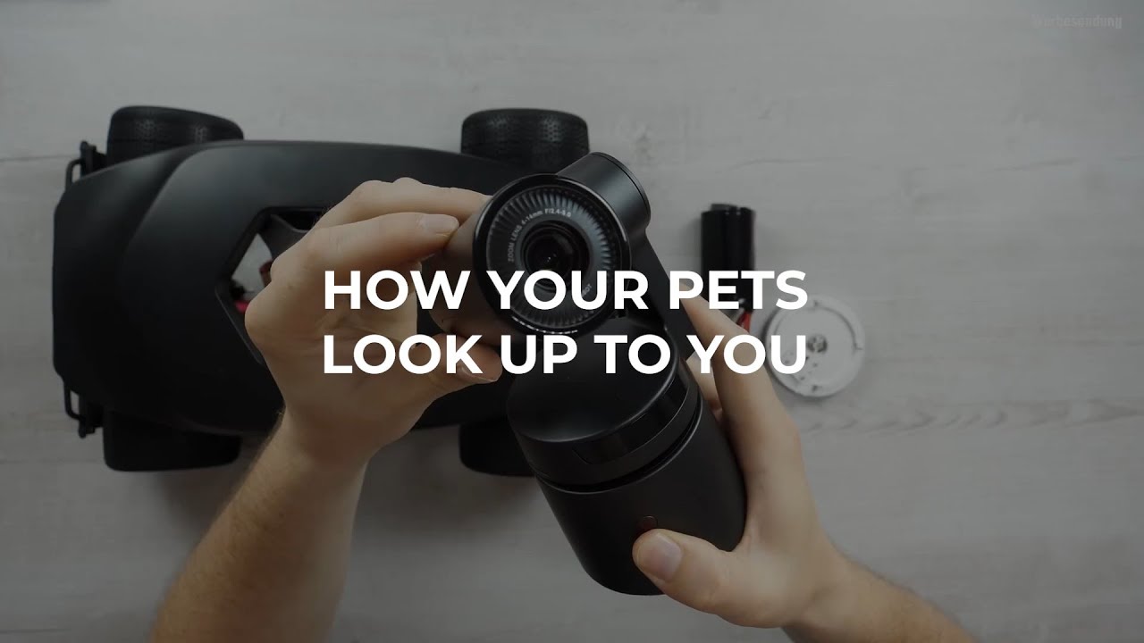 How do your pets look up to you? OBSBOT Turtle will tell you! - YouTube