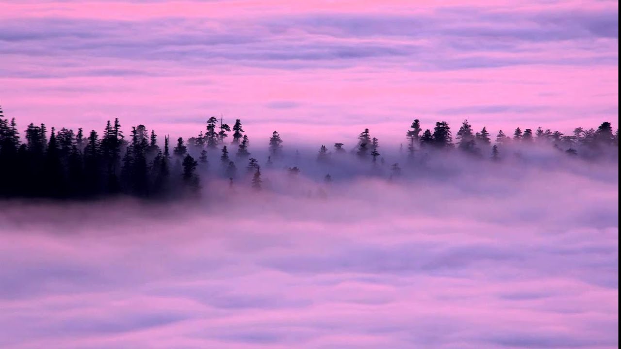 Bing 2013 08 14 Fog over the Redwood National Park, California - YouTube