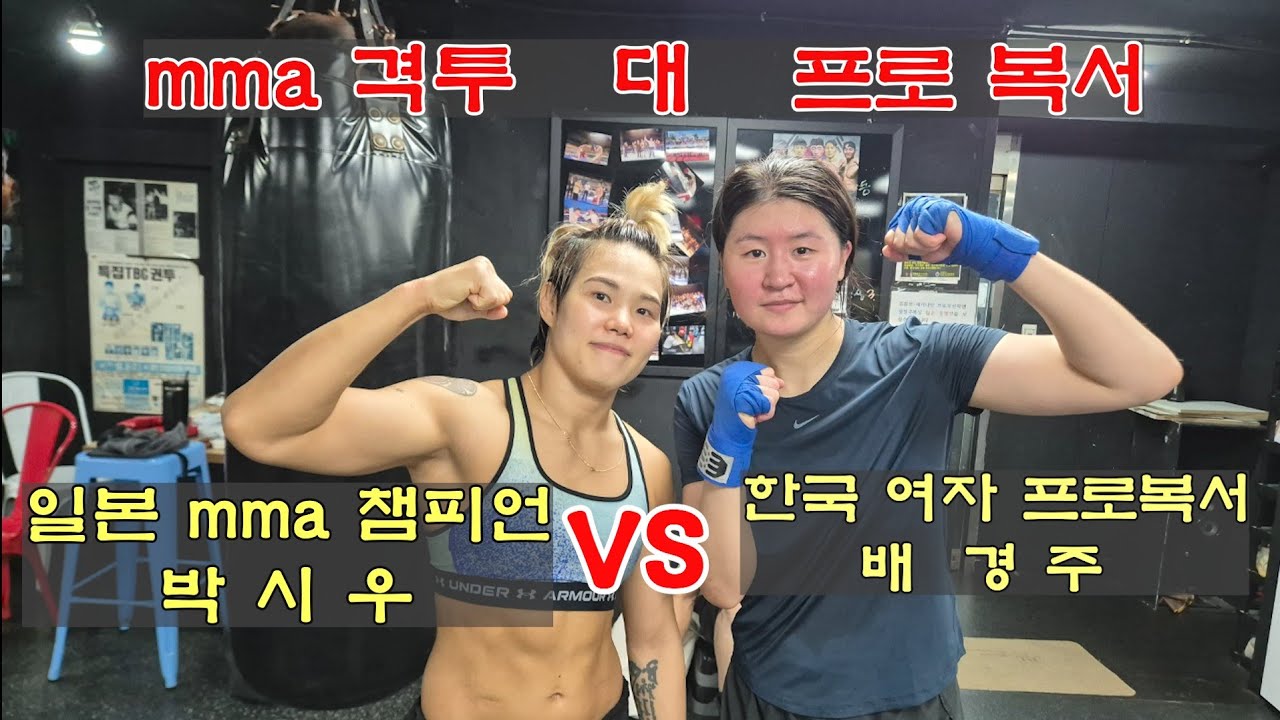 일본 Mma 챔피언 Vs 한국 여자 프로 복서 풀 스파링 영상 박시우 대 배경주 Boxing 권투 복싱 챔피언 Mma 프로복싱 프로권투 스파링 Youtube