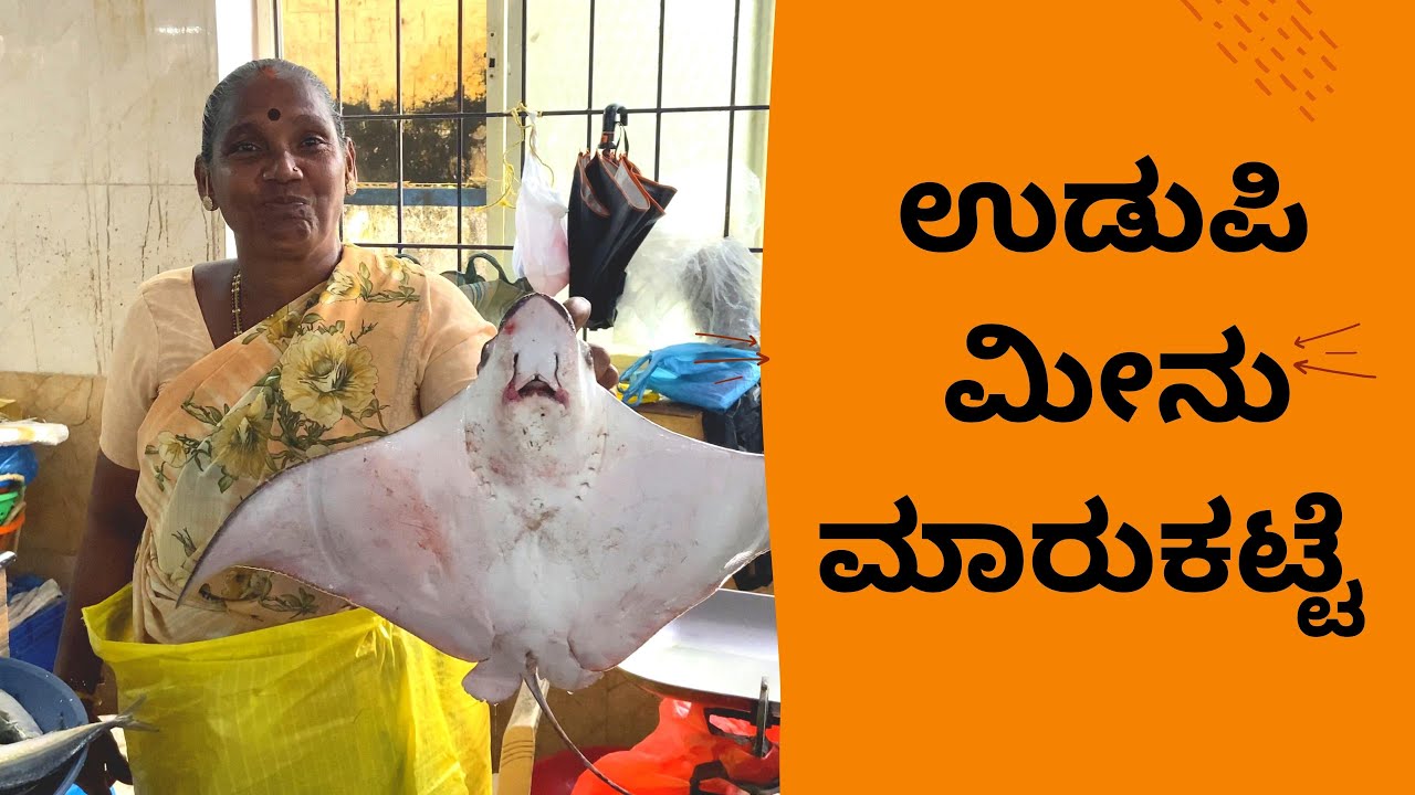 ಉಡುಪಿ ಮೀನು ಮಾರುಕಟ್ಟೆ ಎಷ್ಟು ವಿಧದ ಮೀನುಗಳು ನೋಡಿ | UDUPI FISH MARKET - YouTube