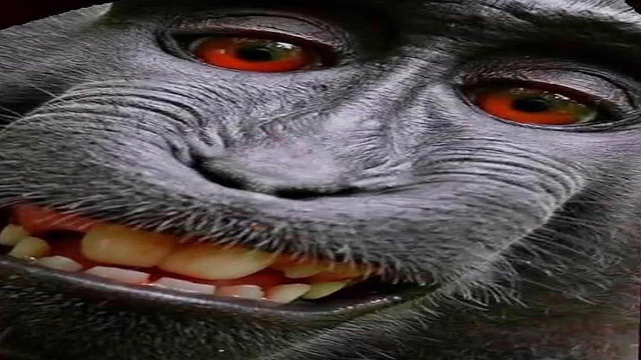 UCUBE KORKU OYUNLARI [3] - YouTube