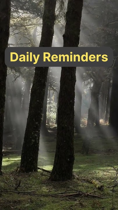 Start of Daily Reminders - YouTube