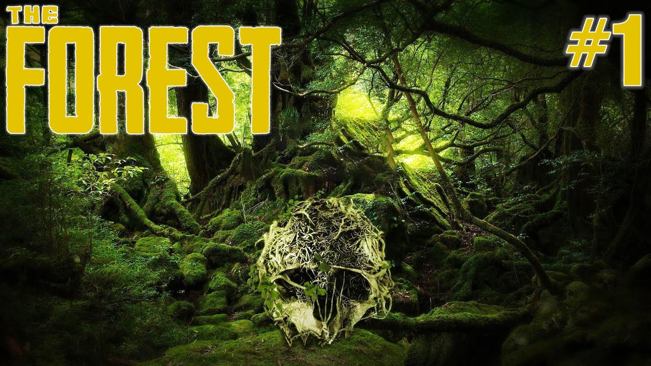 THE FOREST #1 LE DÉBUT D'UNE GRANDE AVENTURE - LET'S PLAY FRANÇAIS ...
