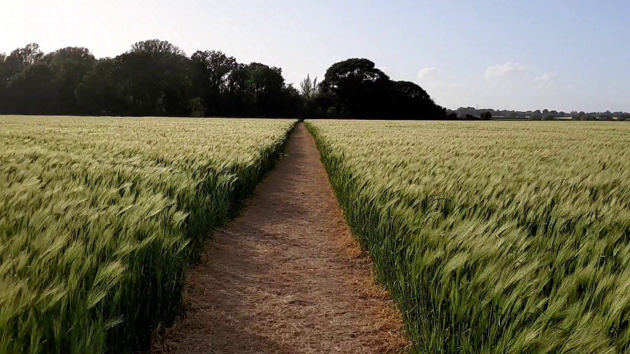 Evening walk in Berinsfield - YouTube