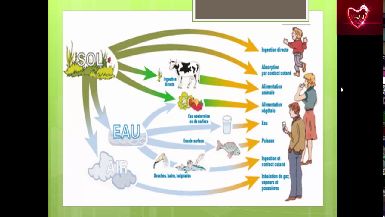 cours d’environnement - YouTube