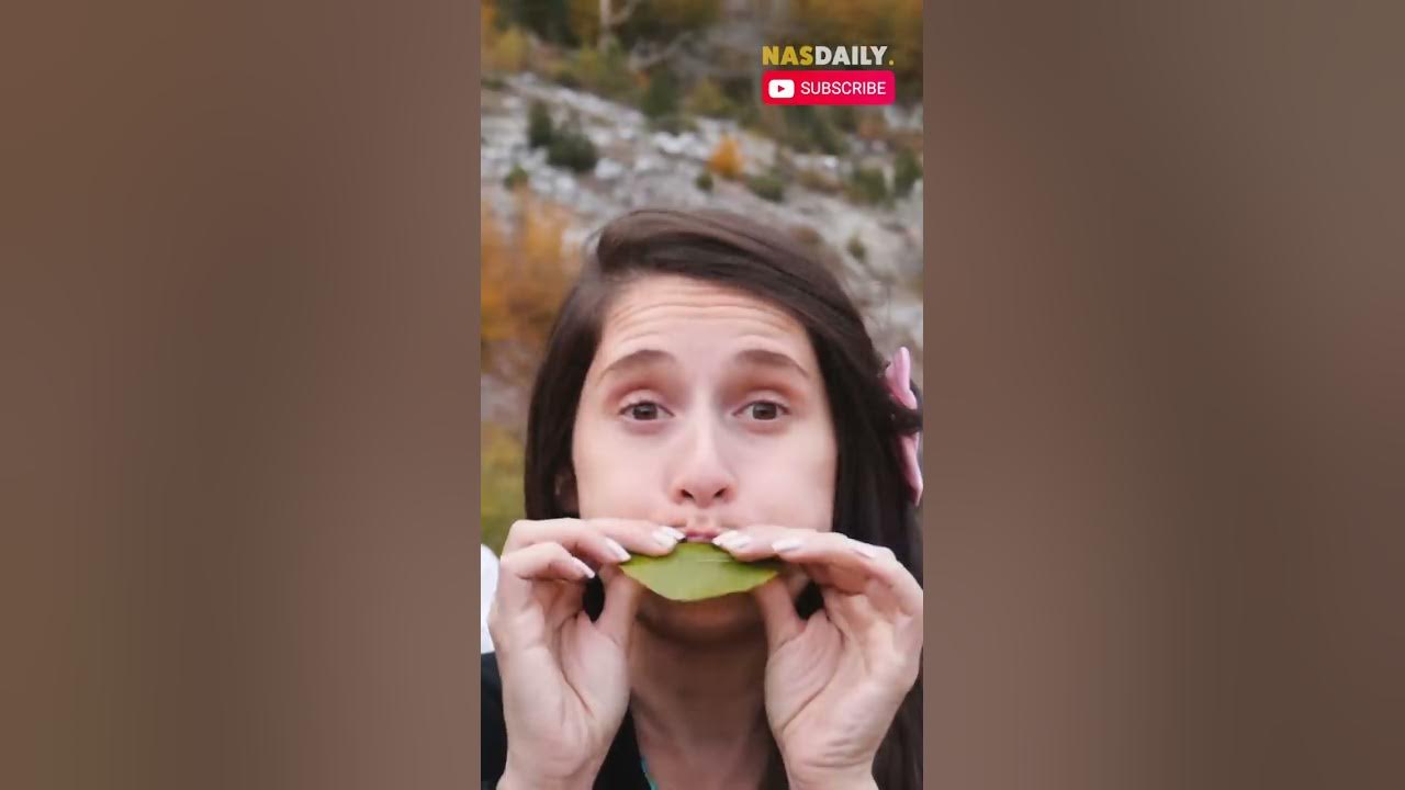 Can You Make Music Using This? #321 - YouTube