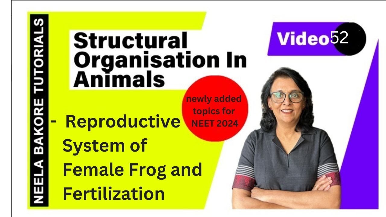 Reproductive System of Female Frog & Fertilization | NEET 2024 | Neela ...