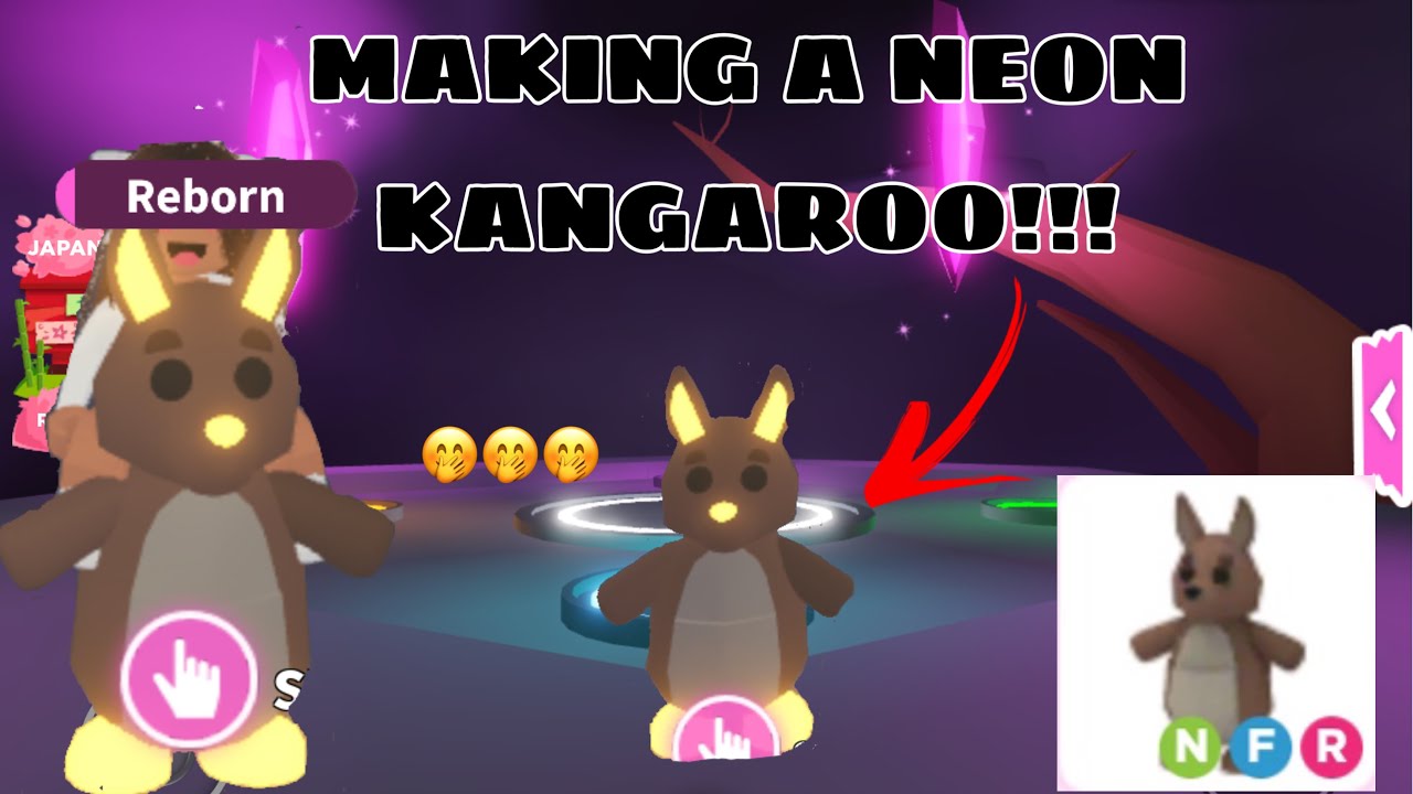 MAKING A NEON KANGAROO!!! + I’m back lol || ROBLOX ADOPT ME - YouTube