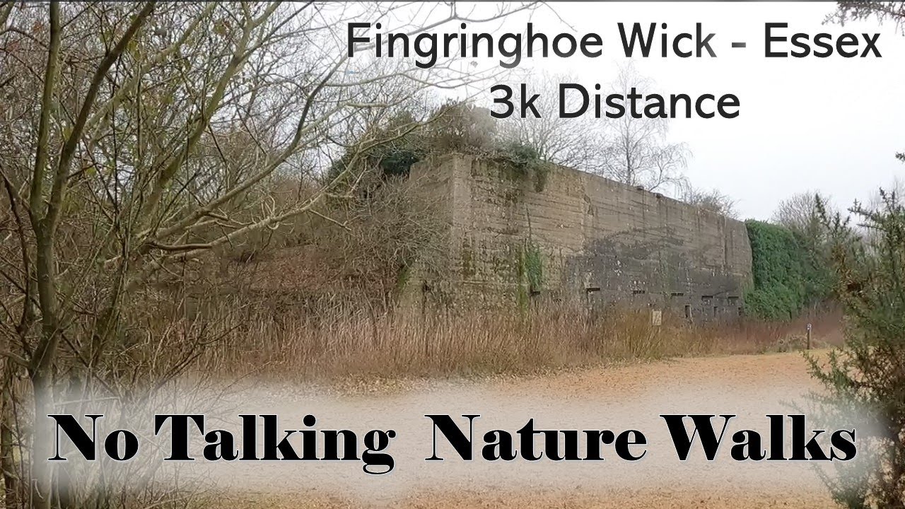 No Talking Nature Walk - Fingringhoe Wick Nature Reserve Essex Walking ...