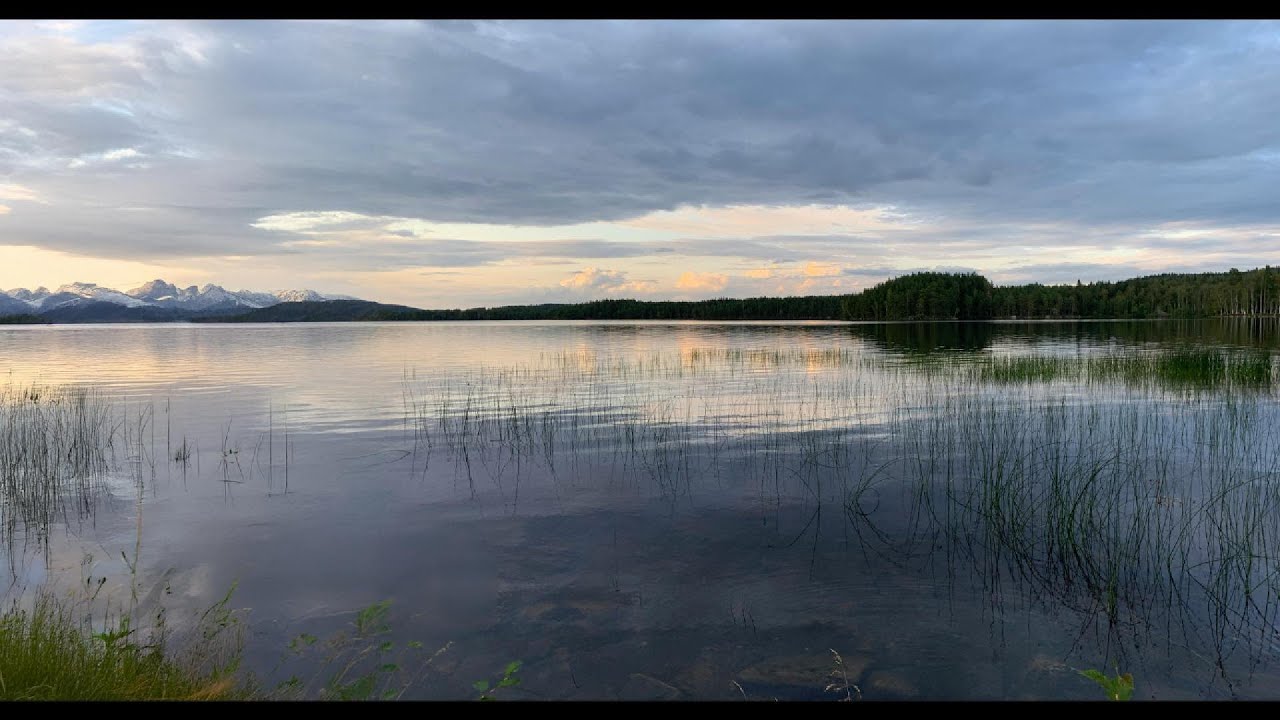 Relaxing Morning Music - YouTube