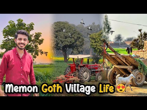 Memon goth karachi ️ |Village life in pakistan😍 |Sindh village🍃 ...