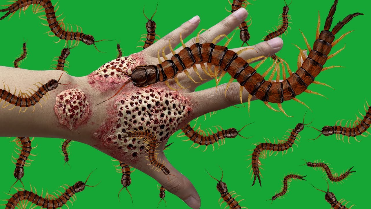 HORROR COOKING - Making JAPANESE EGGS RICE from ZOMBIE FACE ASMR - YouTube