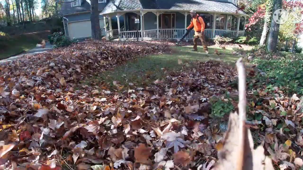 Complete Leaf Clean Up Start to Finish - YouTube