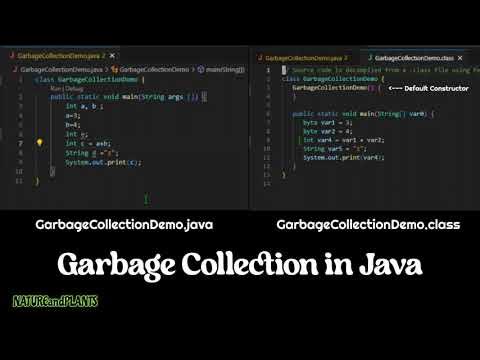 Garbage Collection and Default Constructor in Java || Simple Demo Program - YouTube